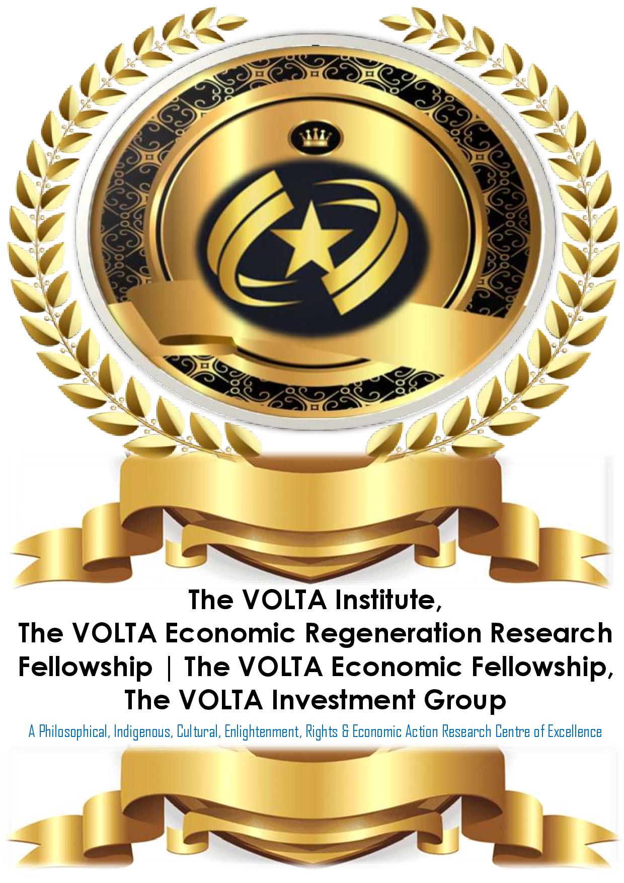Homepage - The VOLTA INSTITUTE | The VOLTAInstitute | The VInstitute